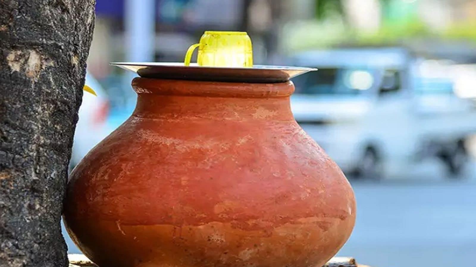 इंद्र मेघवाल हत्याकांड : मटकी छिपाने से नहीं छिपेगा जातिवादी घृणा का सच ...